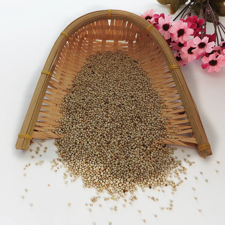 High Quality White Perilla Seeds For Low Price Sale Perilla Seeds - Buy ...