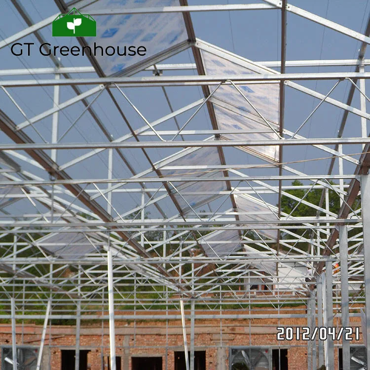 Fish Farming Aquaponic System Fish Greenhouse Shrimp Greenhouse ...