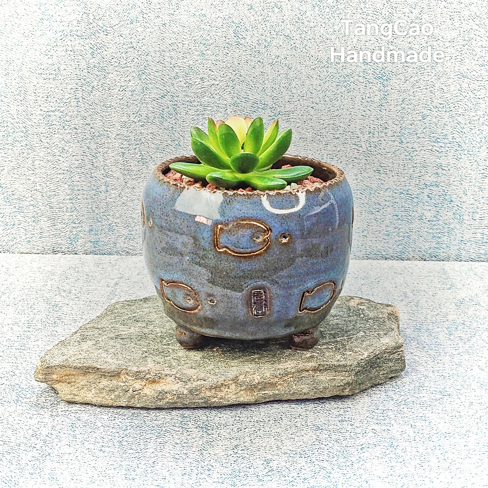 Tangcao Handmade Glazed Ceramic Home Decor Planters Color Customized ...