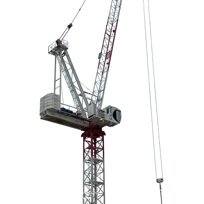 Crane with Derricking Jibs Luffing Jib Tower Crane Tower Crane