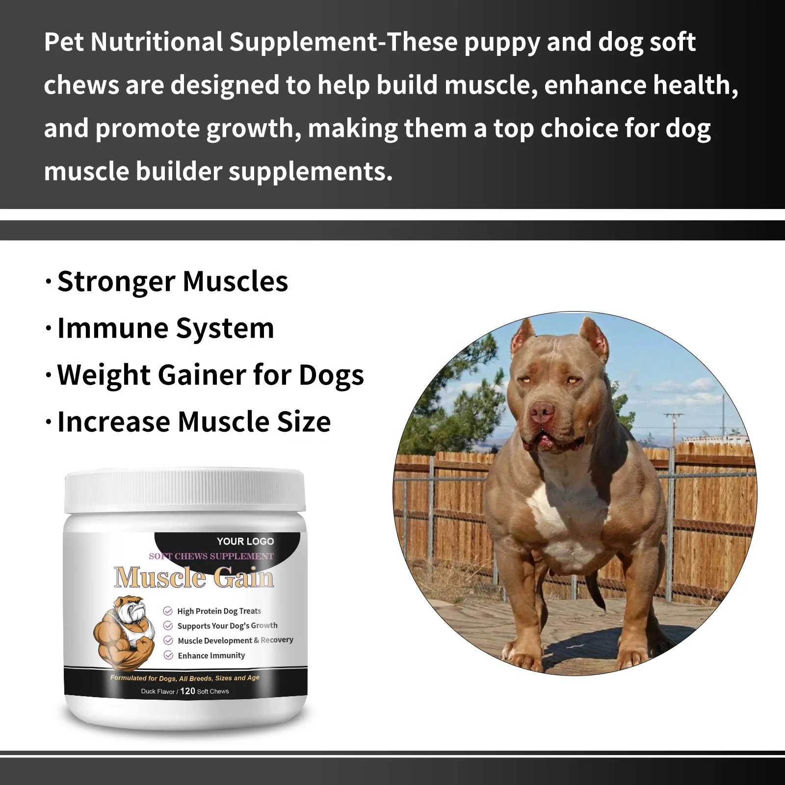 Pet Supplement High Protein Muscles Builder for Dog Weight Gain Soft ...