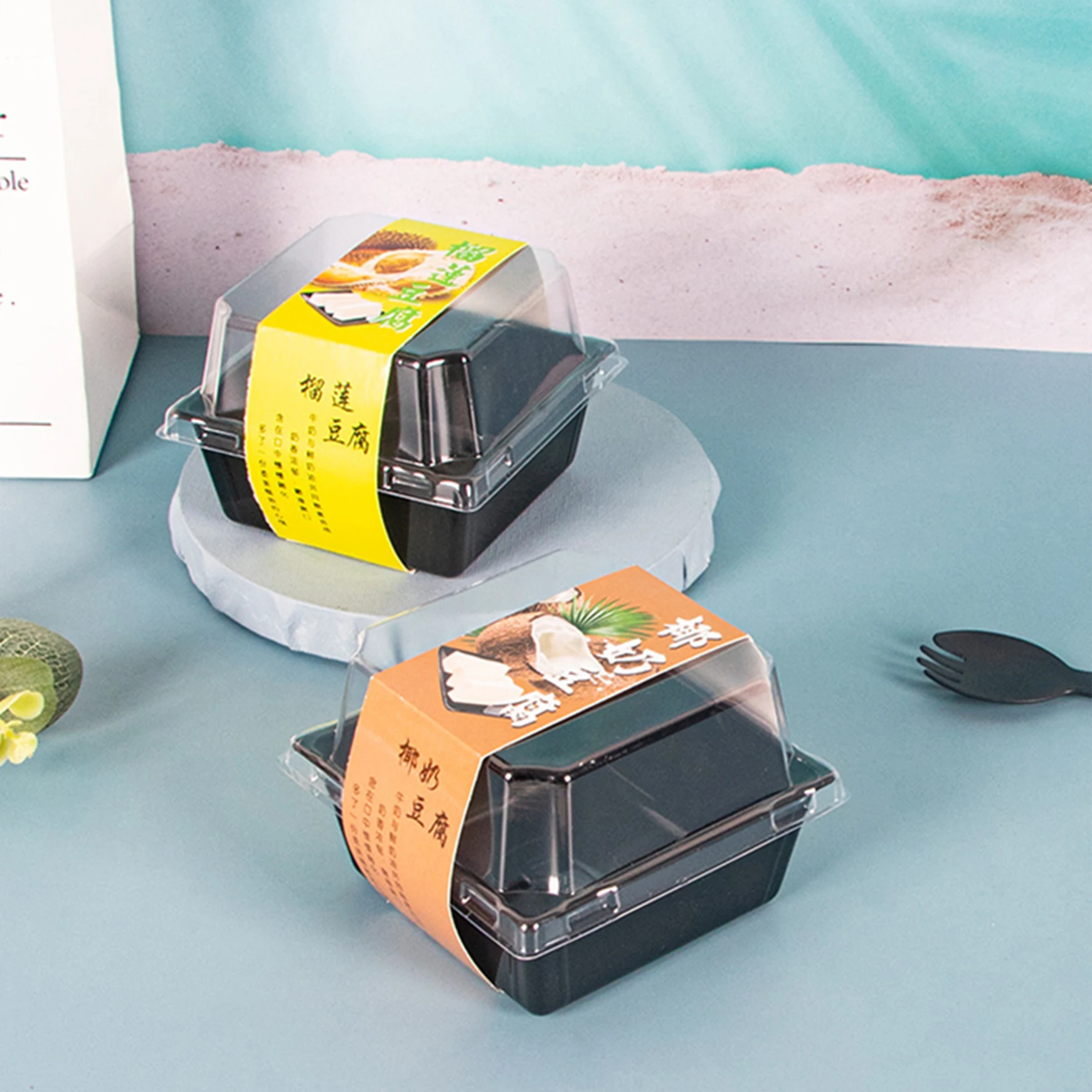 Ecofriendly Plastic Package - Melaleuca Mousse Cake Box