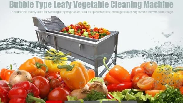 Industrial Fruit And Vegetable Cleaning Equipment Tomato Lettuce Washer ...