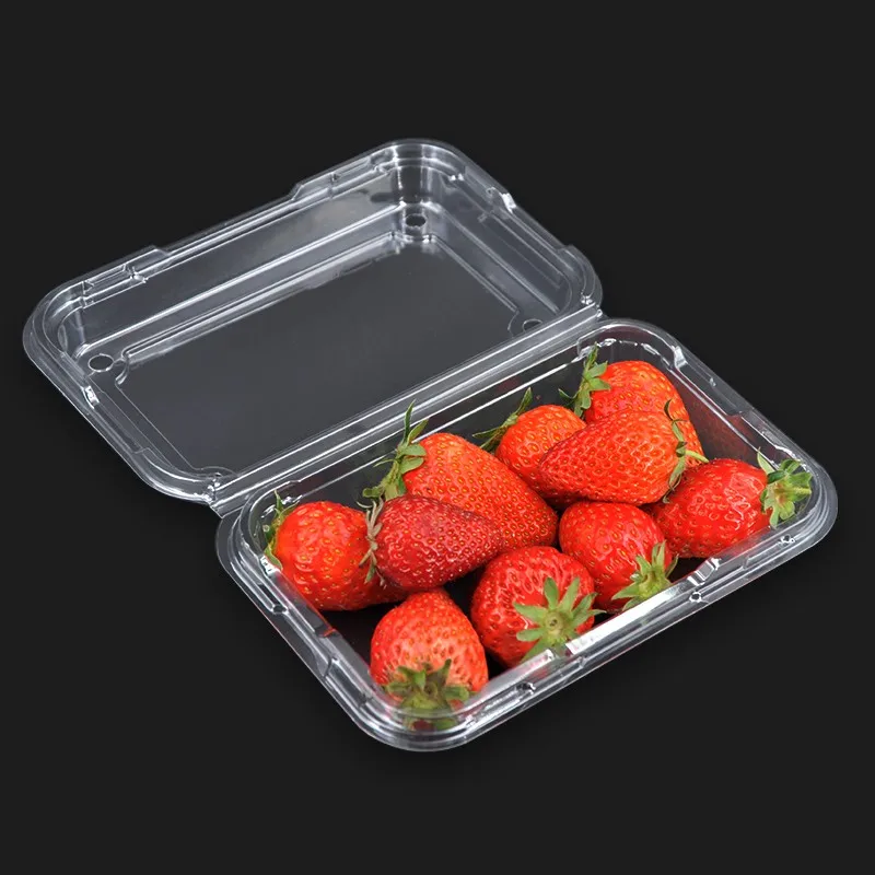 Disposable Pet Clear Plastic Fresh Fruit Strawberry Storage Packaging ...