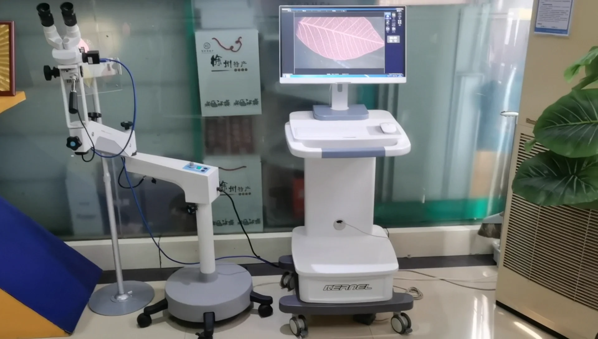 Kernel Colposcope Gynaecological Examination Kn-2200b Green Filter 5 ...