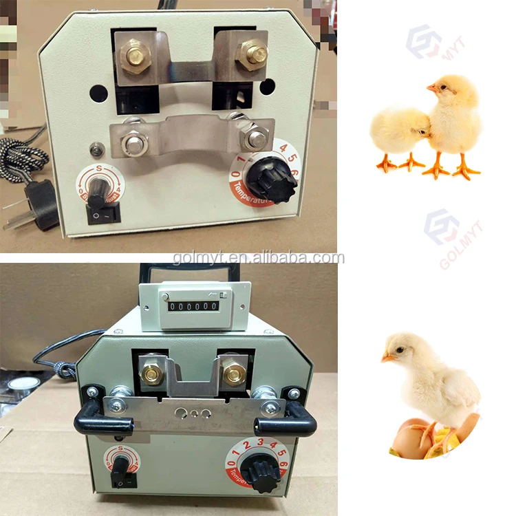 Automatic Poultry Equipment - Efficient Chicken Debeaking