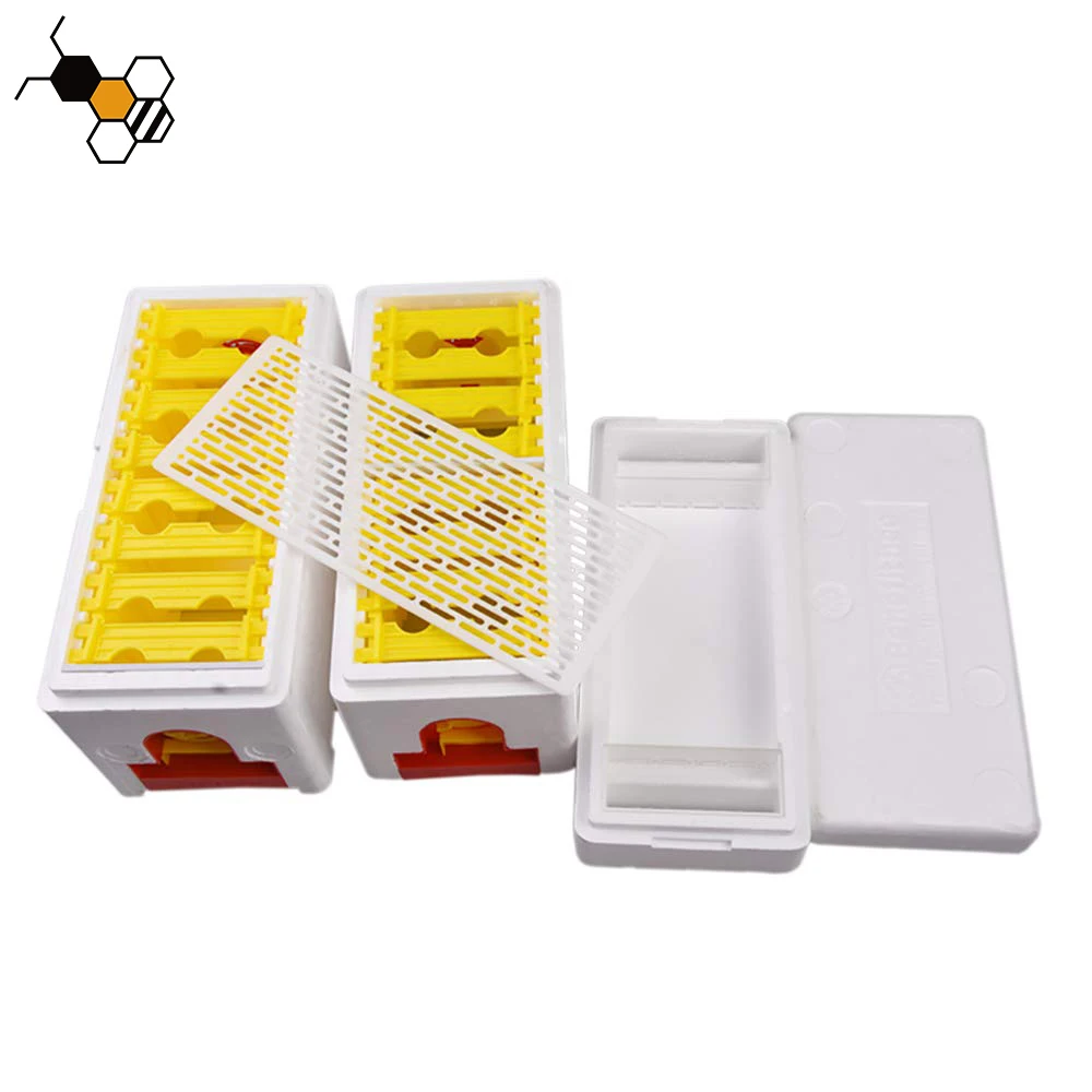 Mini Mating Nuc Box Queen Breeding Box Beekeeping Equipment Foam Queen ...