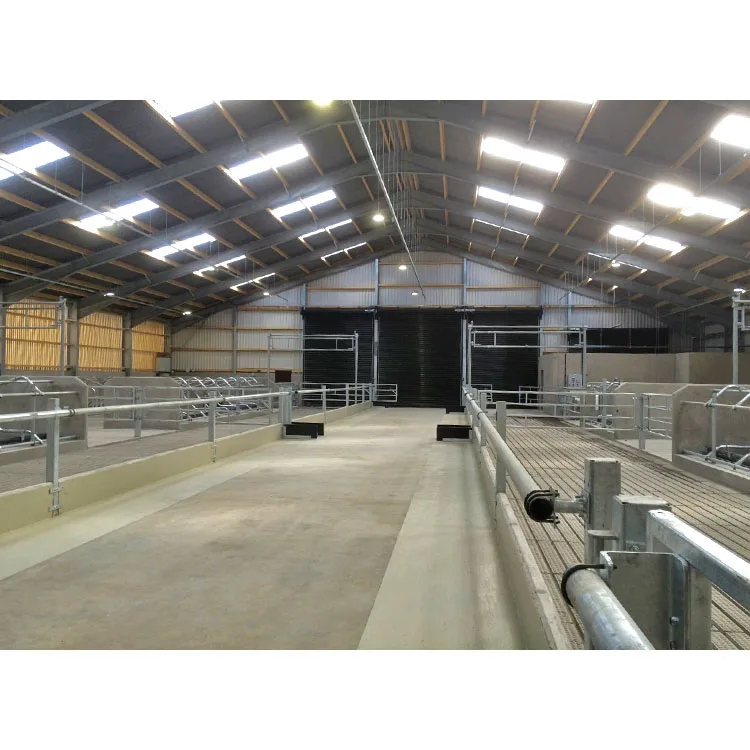 Design Cattle Farm House - Prefabricated Steel Structure