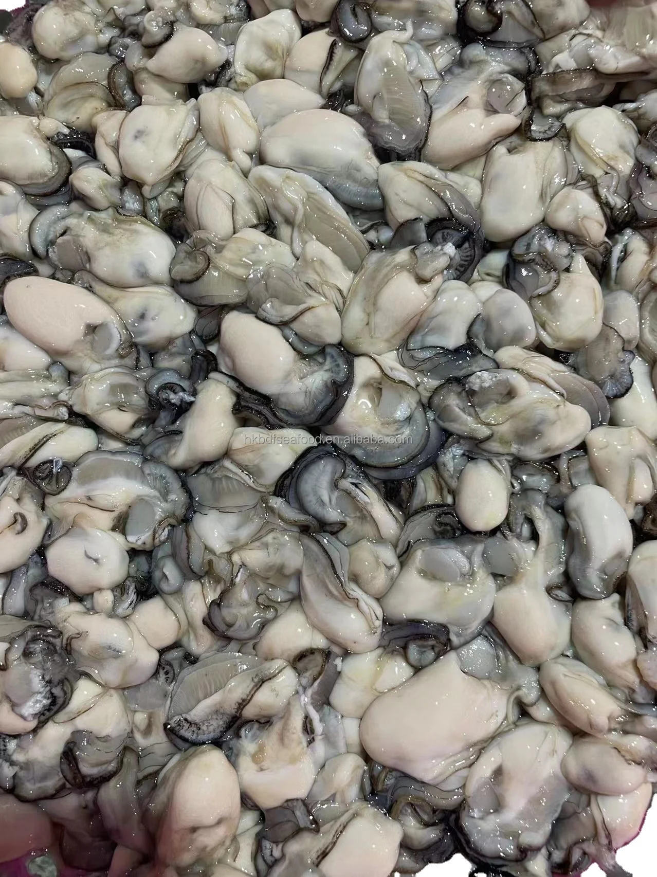 Wholesale Price Natural Food Shellfish IQF Frozen Oyster Meat Without Shell