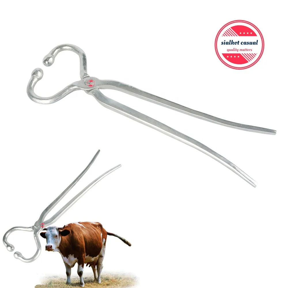 Stainless Steel Cow Nose Ring Carrying Pliers - Bull Cattle Tool