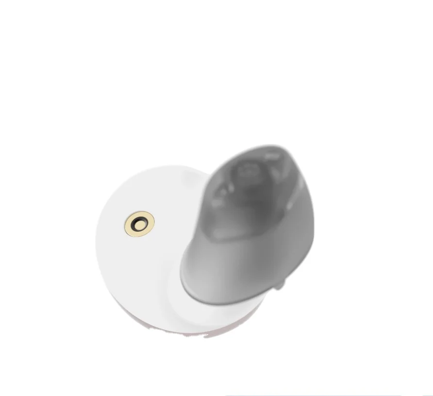 Digital Programmable Invisible Hearing Aids Top Hearing Aid Product ...