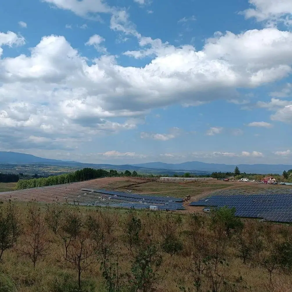 Bluesun Solar Co., Ltd.