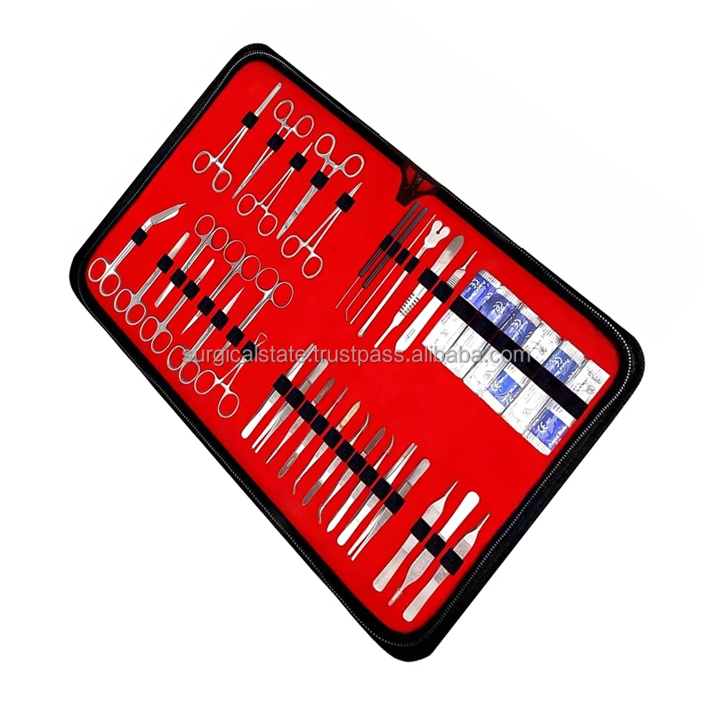 Silicone Pad With Case -skin Suture Training Skin Model Anti-dermal ...