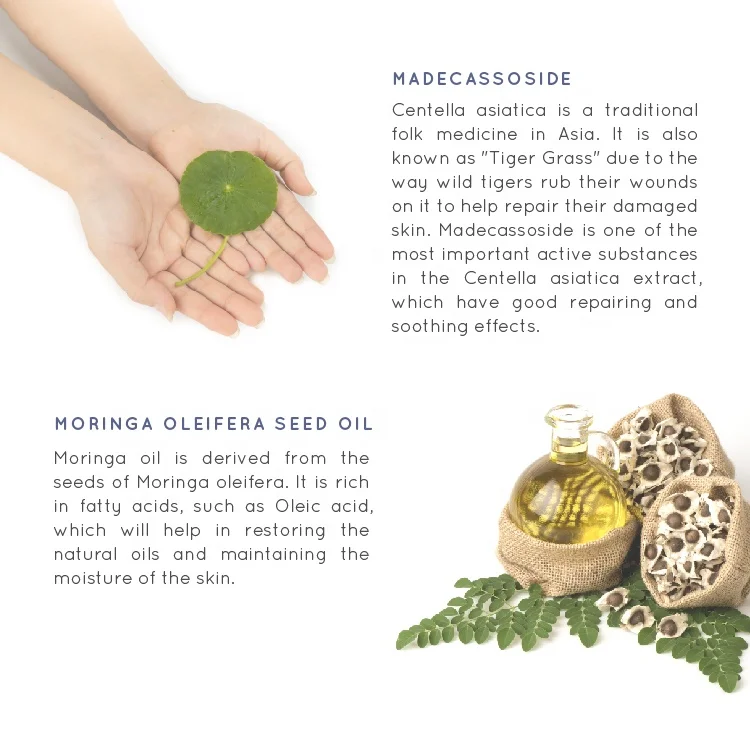 Oseur Daily Repair Cream Face Body Cream Cica Centella Asiatica Cream ...