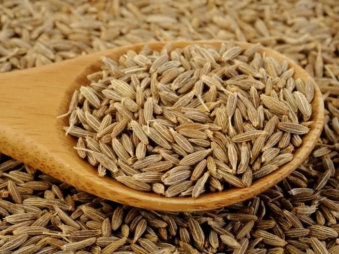 Organic Cumin Seeds-Ashutosh Enterprises 24 Months Shelf Life Wholesale ...