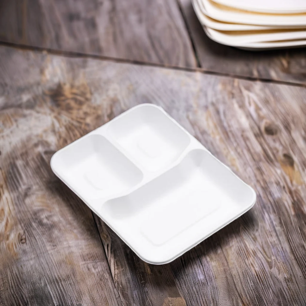 10 Inch 3 Compartment Square Ceramic Plate Plated Disposable Sugarcane ...