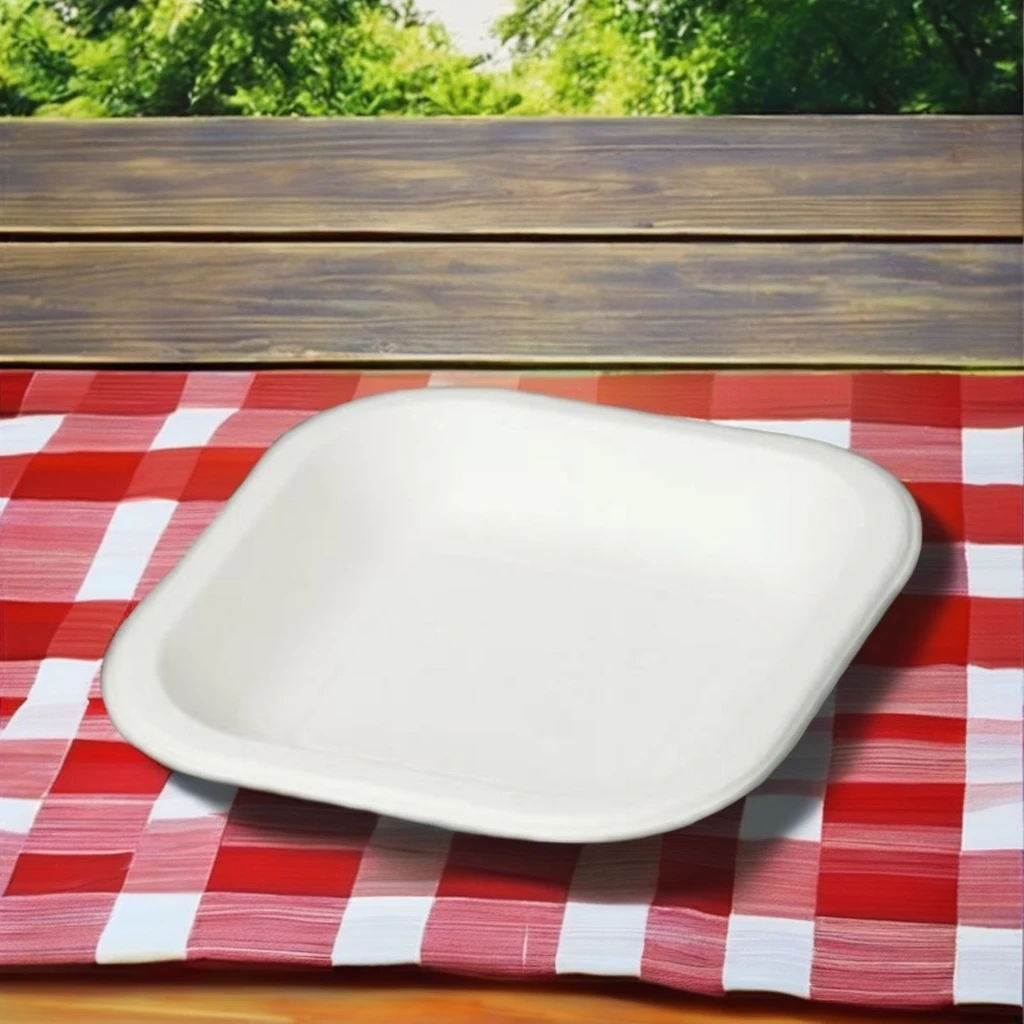 9 Inch Square Biodegradable Disposable Dish Plated Compostable Bagasse ...
