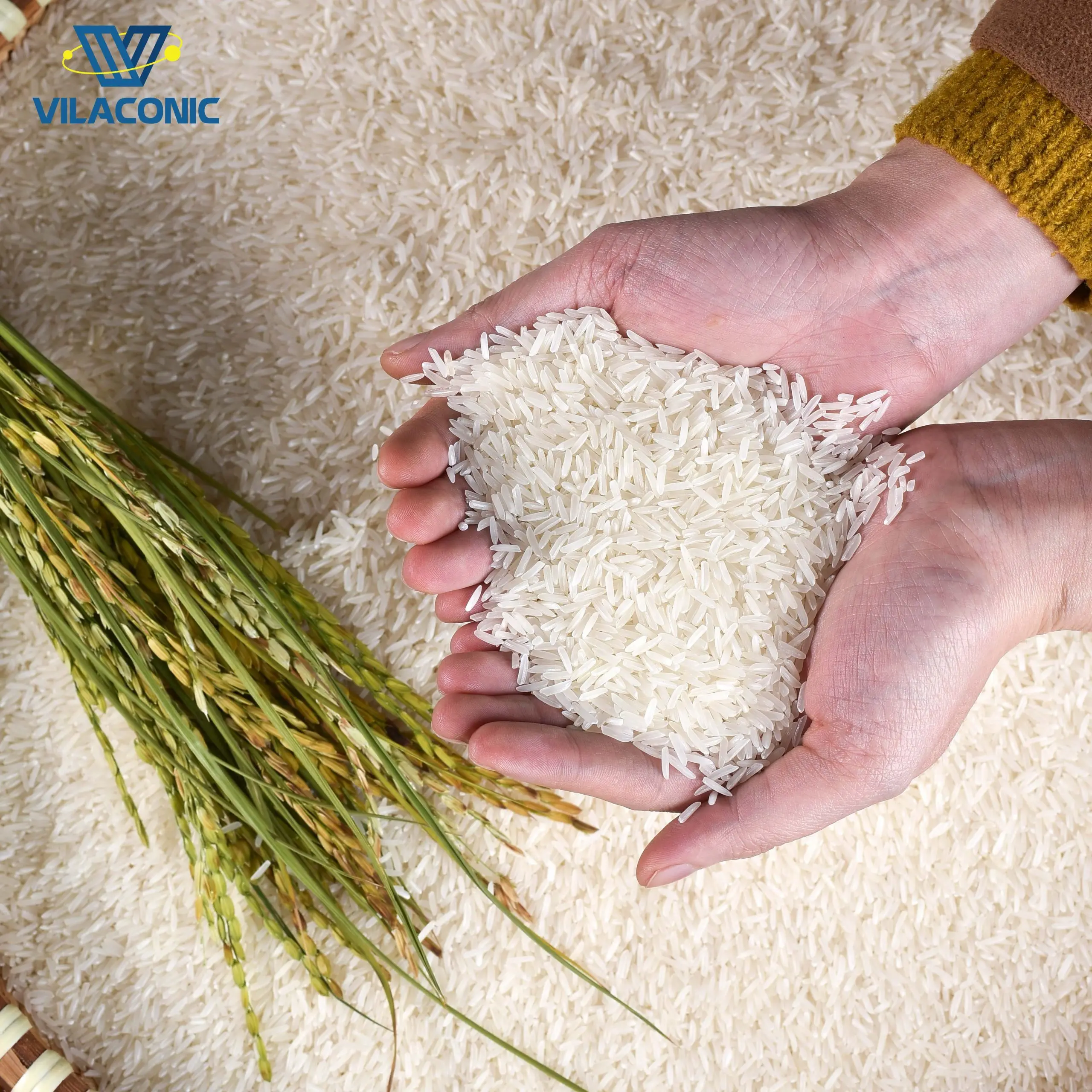 Vietnamese St25 Rice/long Grain Rice From Vilaconic Factory - The World ...