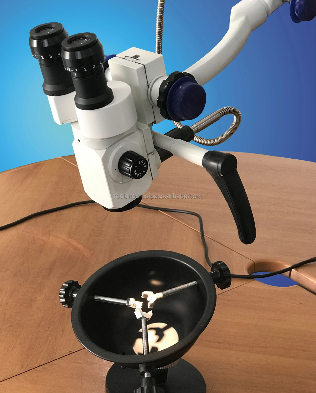 Temporal Bone Dissection Microscope With Bone Holder - Buy Ent Temporal ...
