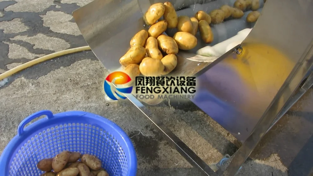 Industrial Root Vegetable Fruit Ginger Cassava Washer Peeler Potato ...