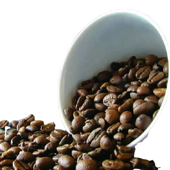 100% Best Quality Robusta From Thailand Coffee Beans Warehouse - Buy ...