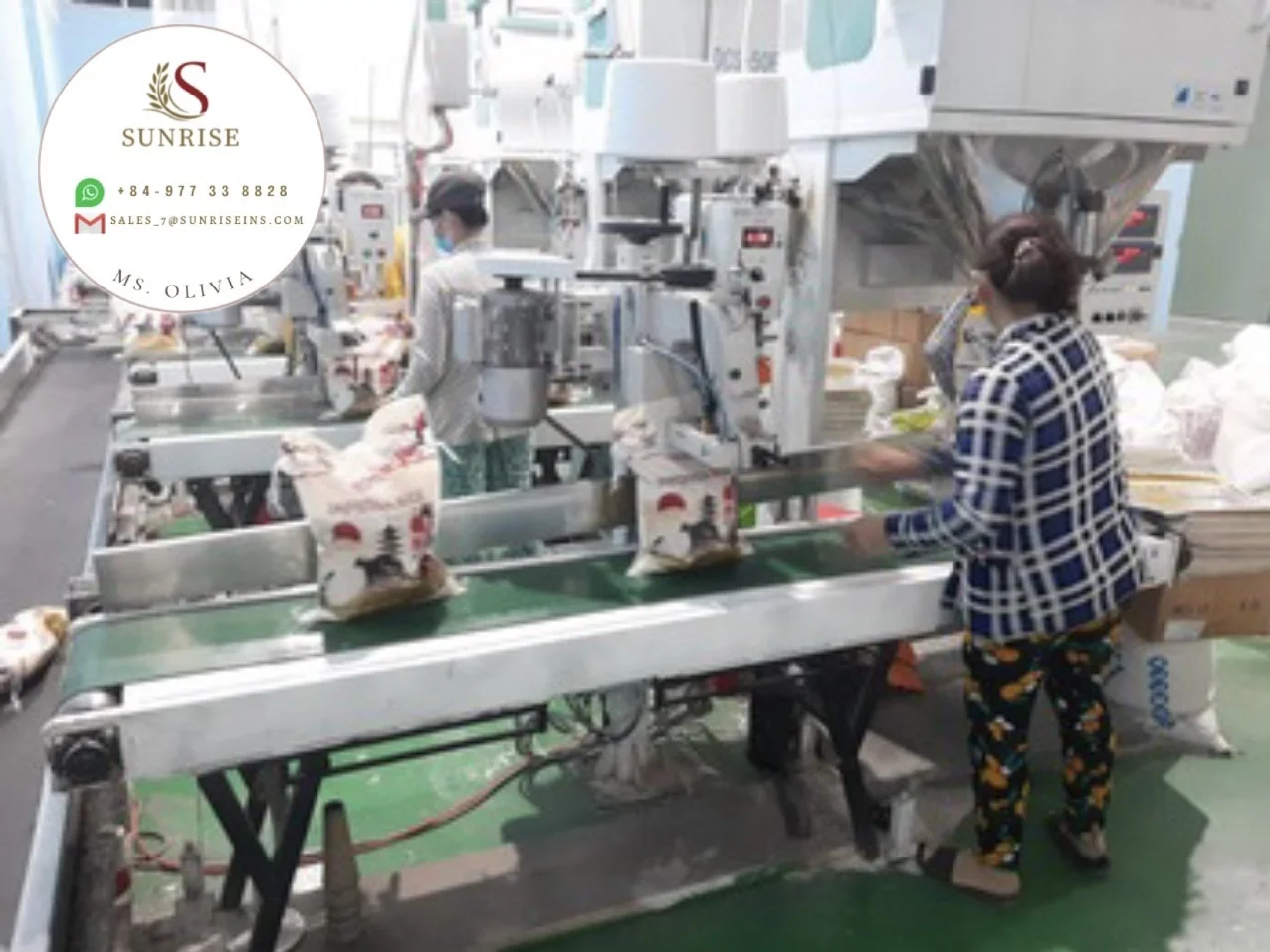 Premium Japonica Rice Short Grain Rice Origin Vietnam 1kg/2kg/5kg/10kg/18kg/25kg/50kg (ms ...