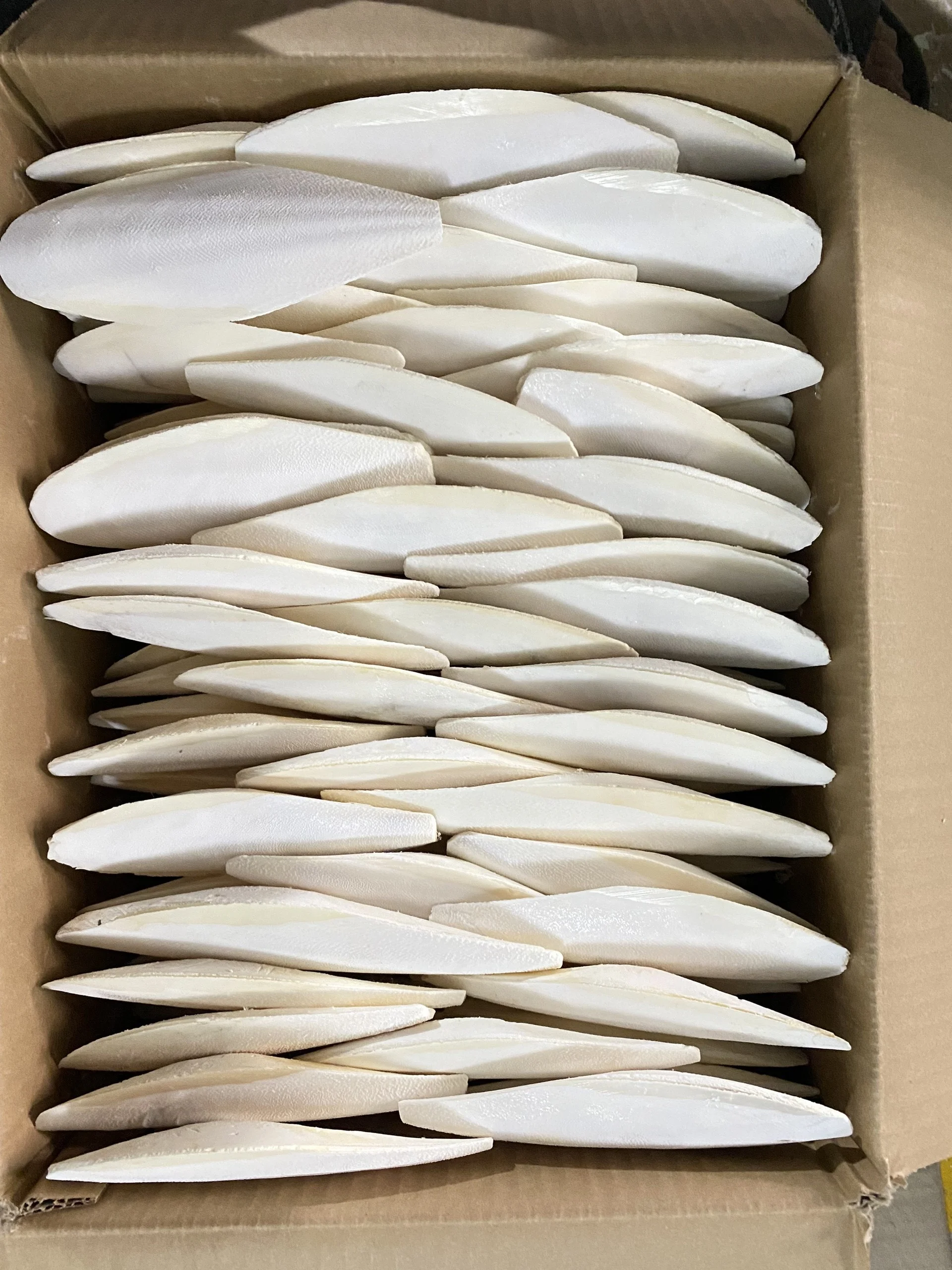 Dried Cuttlefish Bone Powder for Animal Feed - Healthy Calcium