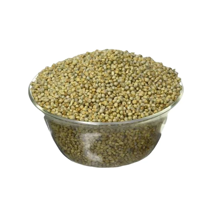 Green Millet Super Quality Available For Sale At Affordable Price - Buy ...