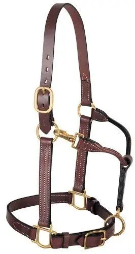 Luxury Leather Horse Halter Hardware Buckles - Customized