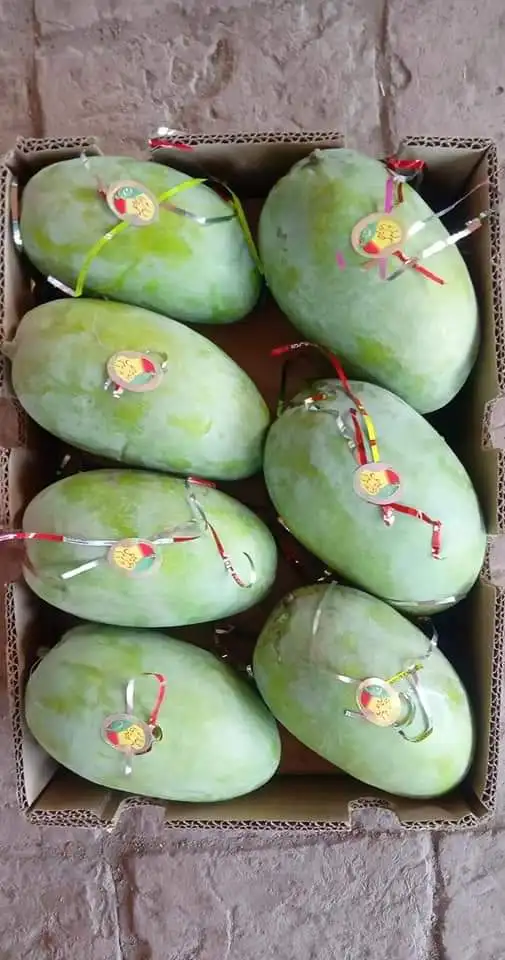 Pakistani Fresh Mangoes Sindhri Anwar Ratoollanghrawhite Chunsa Black Chunsaeat Ment Dohsehri