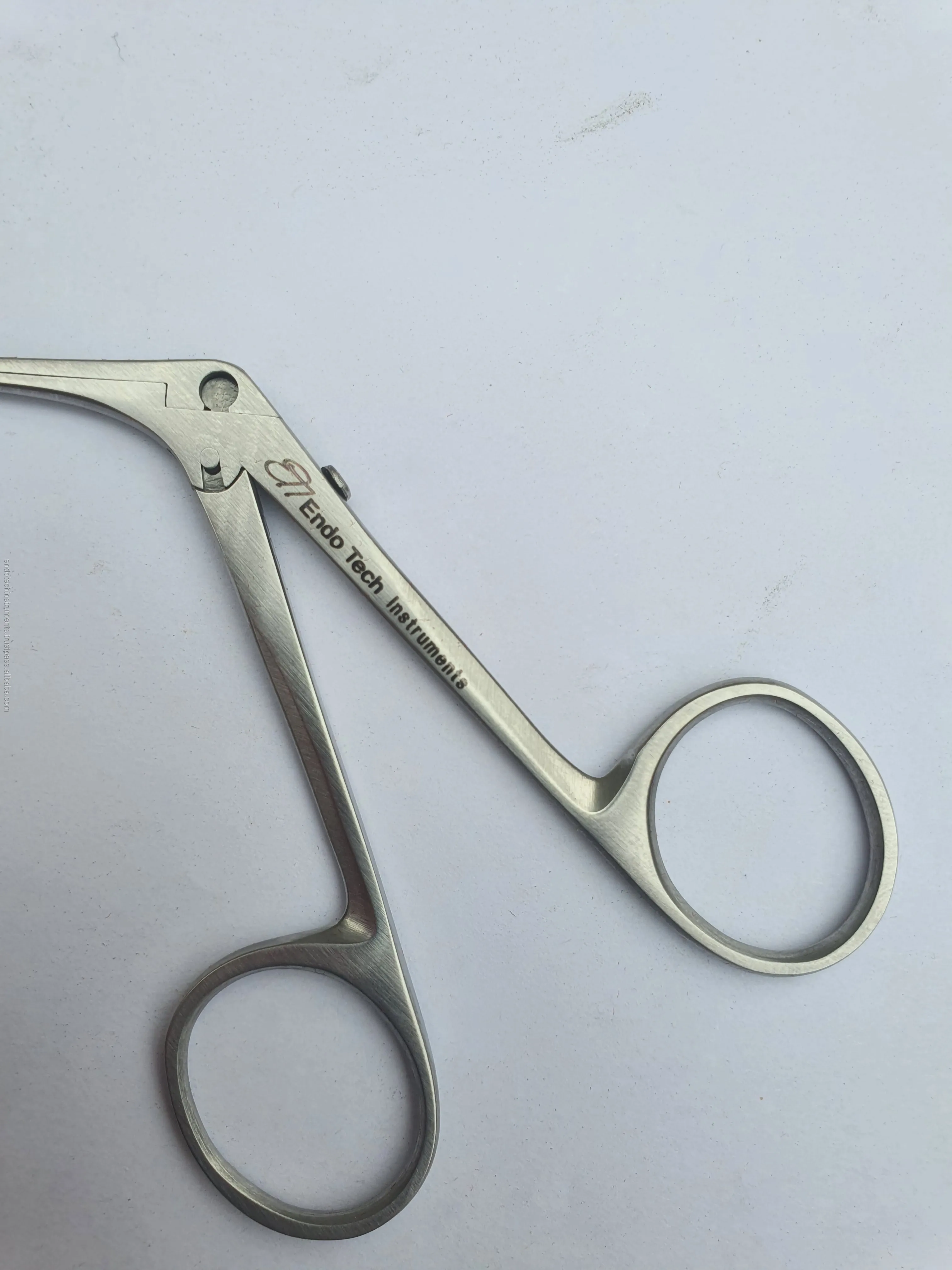 Ear Forceps Instruments Alligator Straight Aural Ent Instruments ...