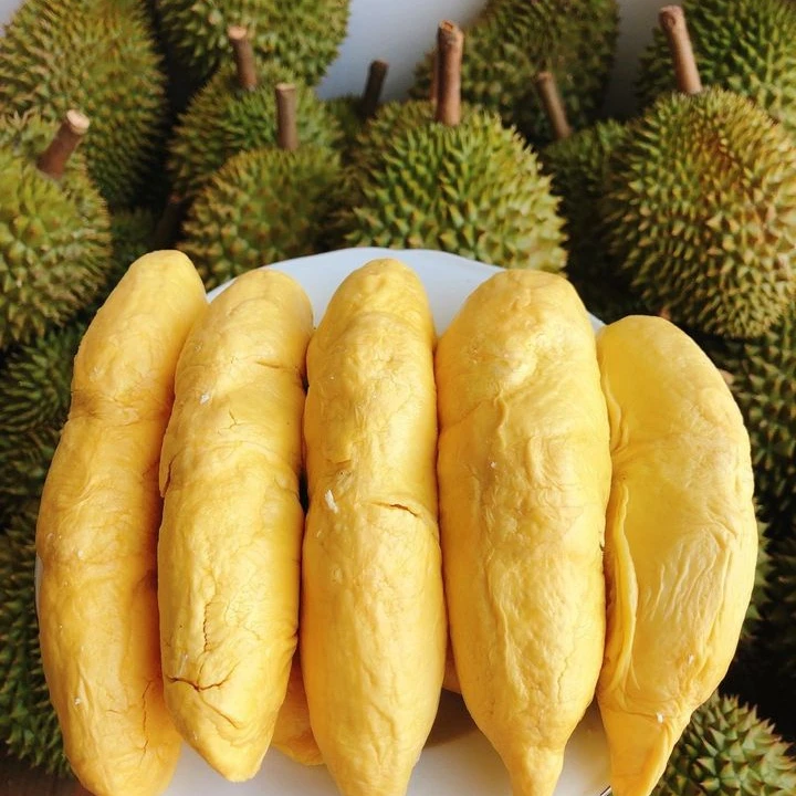 Premium Quality Grade Vietnam Fresh Ri6/ Monthong Durians Fruit From ...