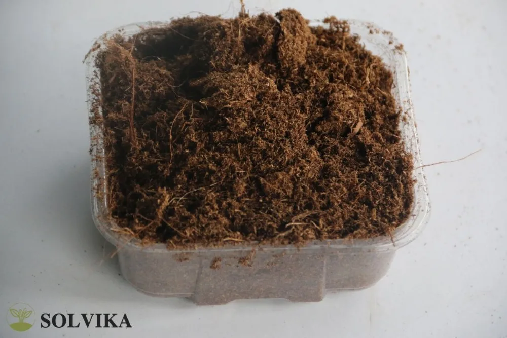 Www.peatmoss.lt - High-Quality White Peat Moss from SOLVIKA
