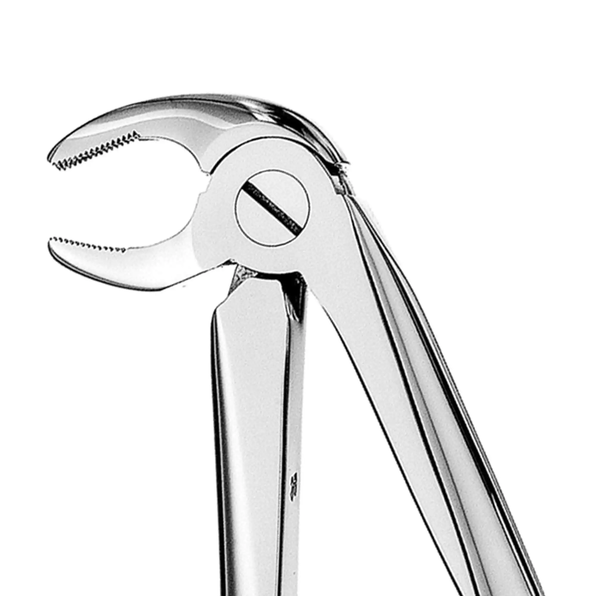 Dental Extraction Of Upper Premolar Teeth Extracting Forceps Surgical ...