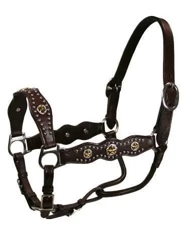 Luxury Leather Horse Halter Hardware Buckles - Customized
