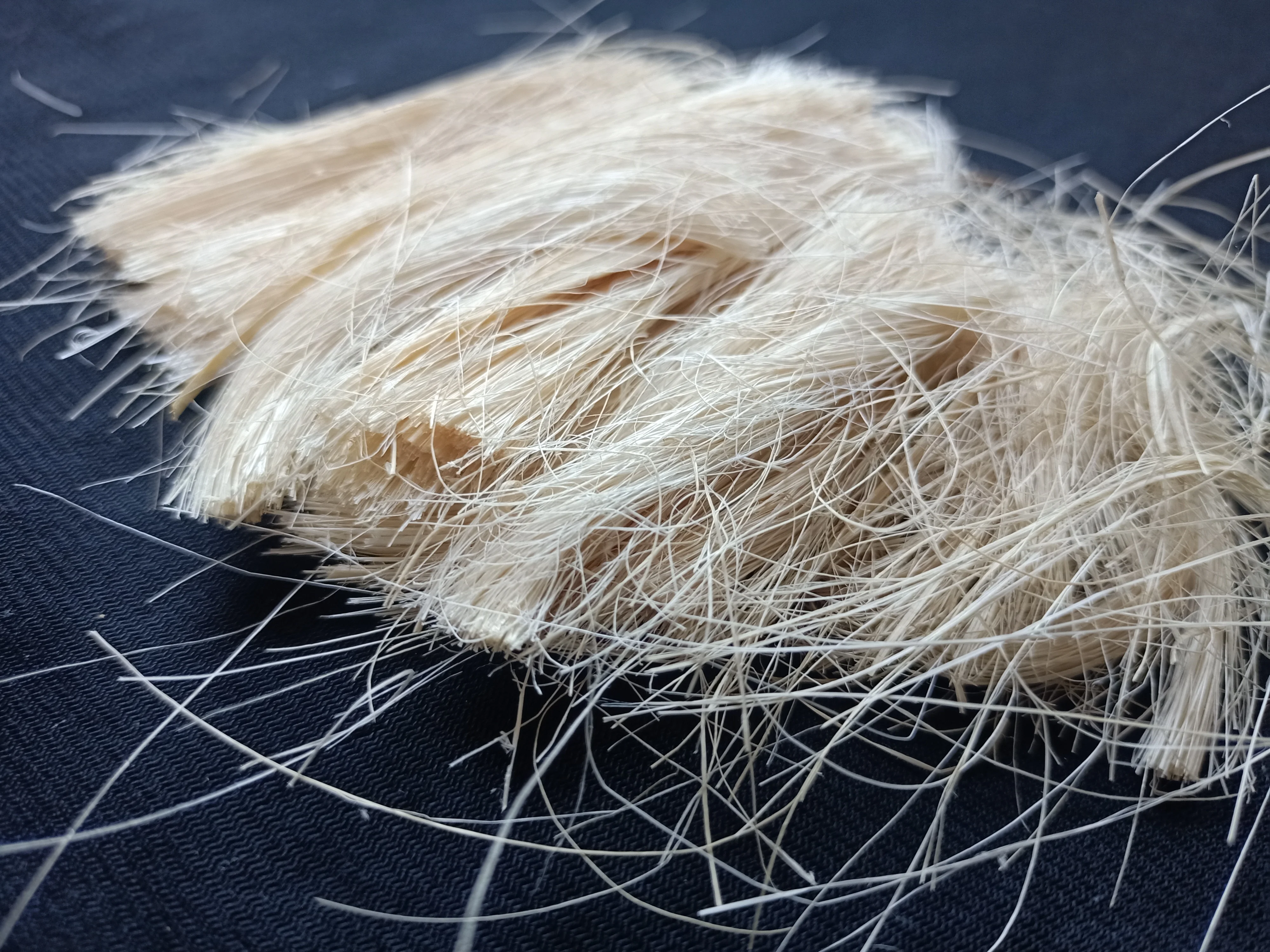 Custom Made Aloe Vera Fiber Cut In Size 6 Cm Suitable For Educational ...