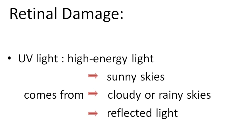 Uv420 Sport Lens Wholesale Manufacturer Polycarbonate Hev Blue Cut ...