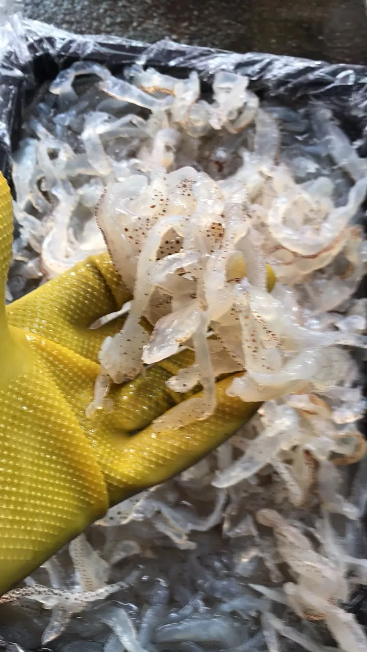 Salted Jellyfish Jellyfish Salad - Unique Seafood Delight