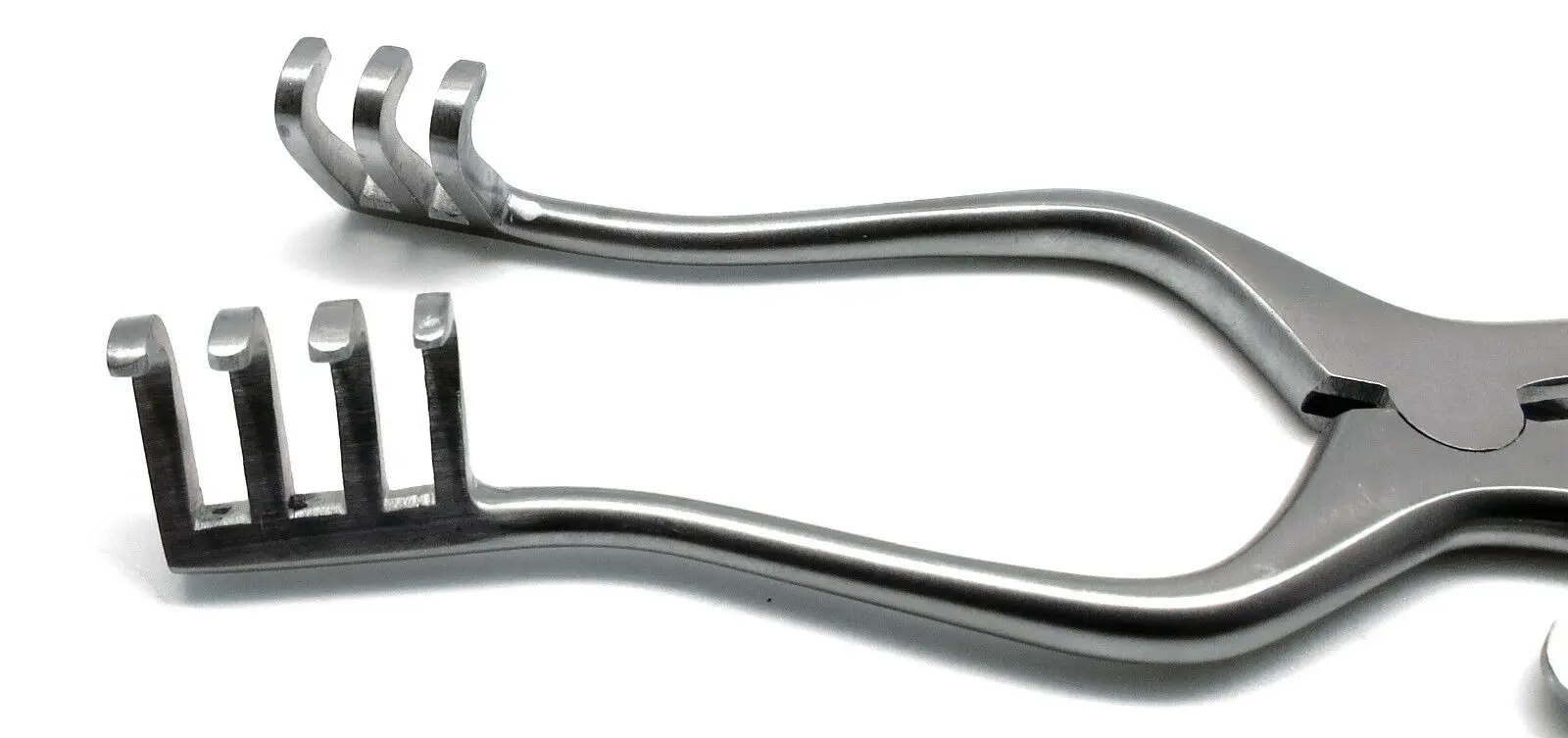 Surgical Weitlaner Retractor 6.5" Blunt 3x4 Prongs Veterinary ...