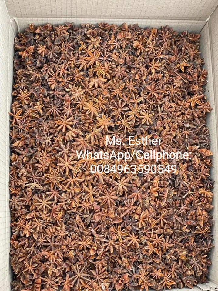 Wholesale Dried Spring Star Anise In Bulk | Ms. Esther (whatsapp: +84 ...
