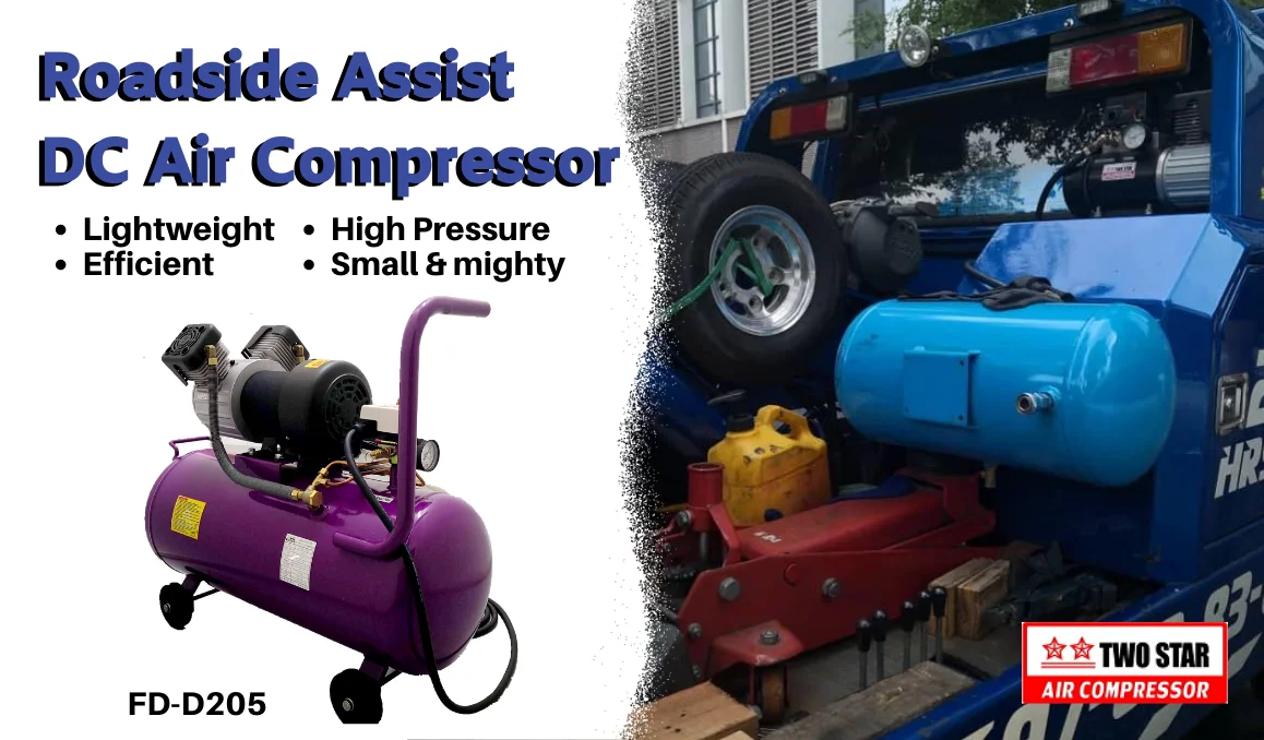 48V High Efficiency Weatherproof Long Duty Cycle DC Oil Free Twin ...