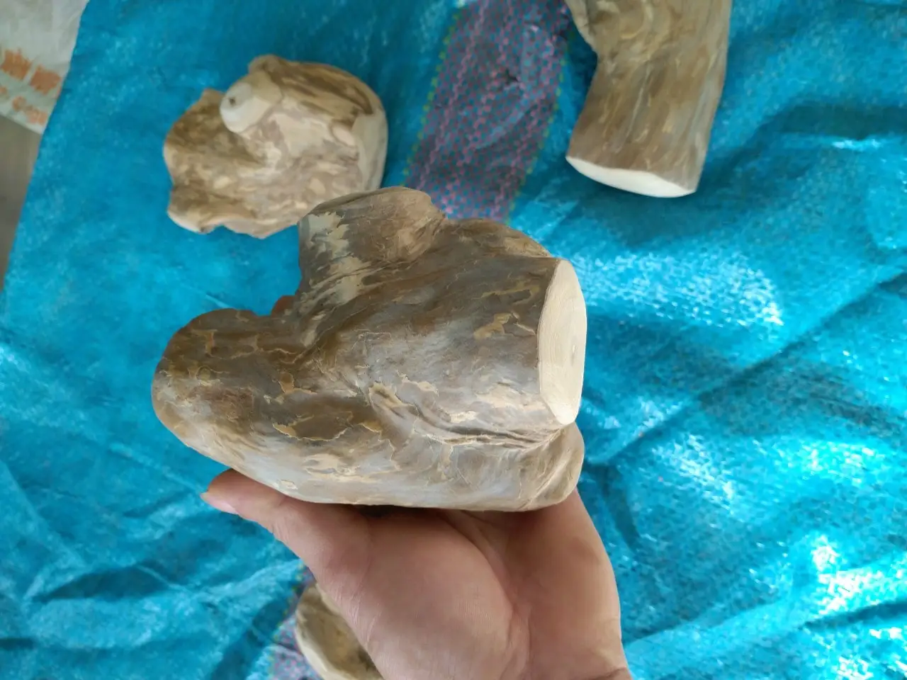 Best Choice for Your Pets - GORILLA CHEW - Eco-Friendly Dog Toy