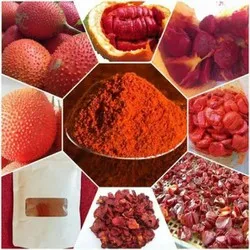 RED GAC FRUIT EXTRACT POWDER - Vitamin-Rich Supplement