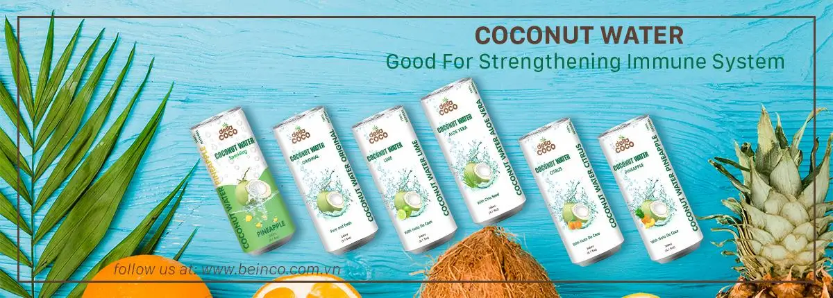 Company Overview - BEINCO