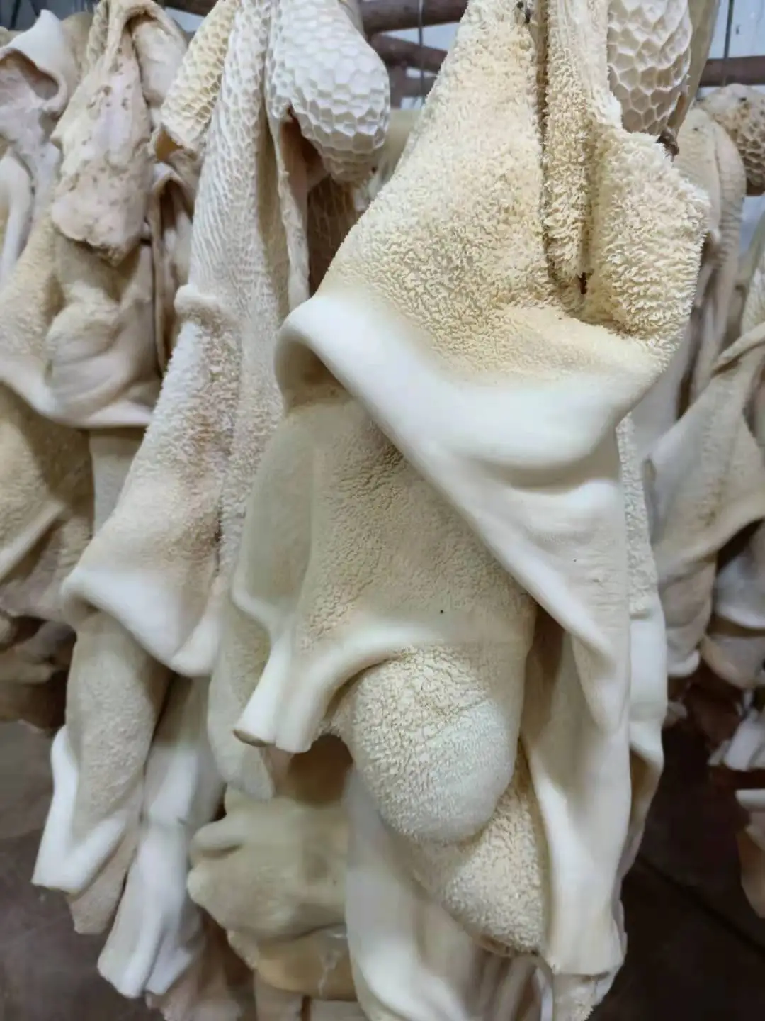 Beef Honeycomb / Cow Stomach Cleaned / Beef Omasum Salted Beef Omasum ...