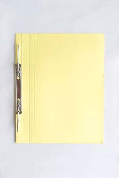 Lion File Economical A4 (300gsm) Manila Spring Files A4 File Folder ...