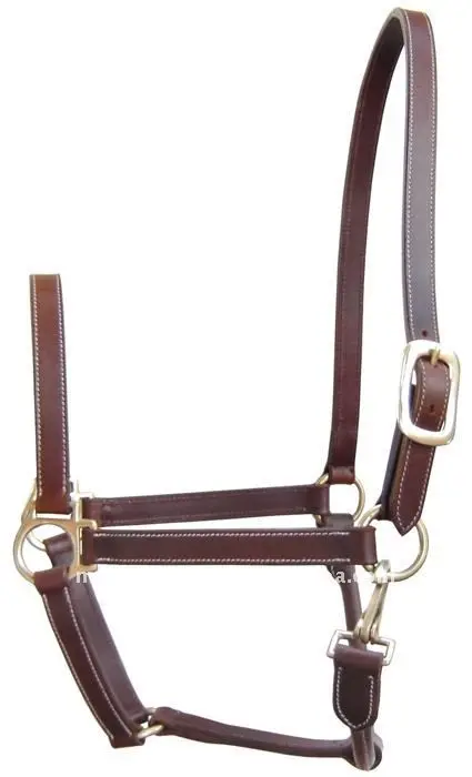 Luxury Leather Horse Halter Hardware Buckles - Customized