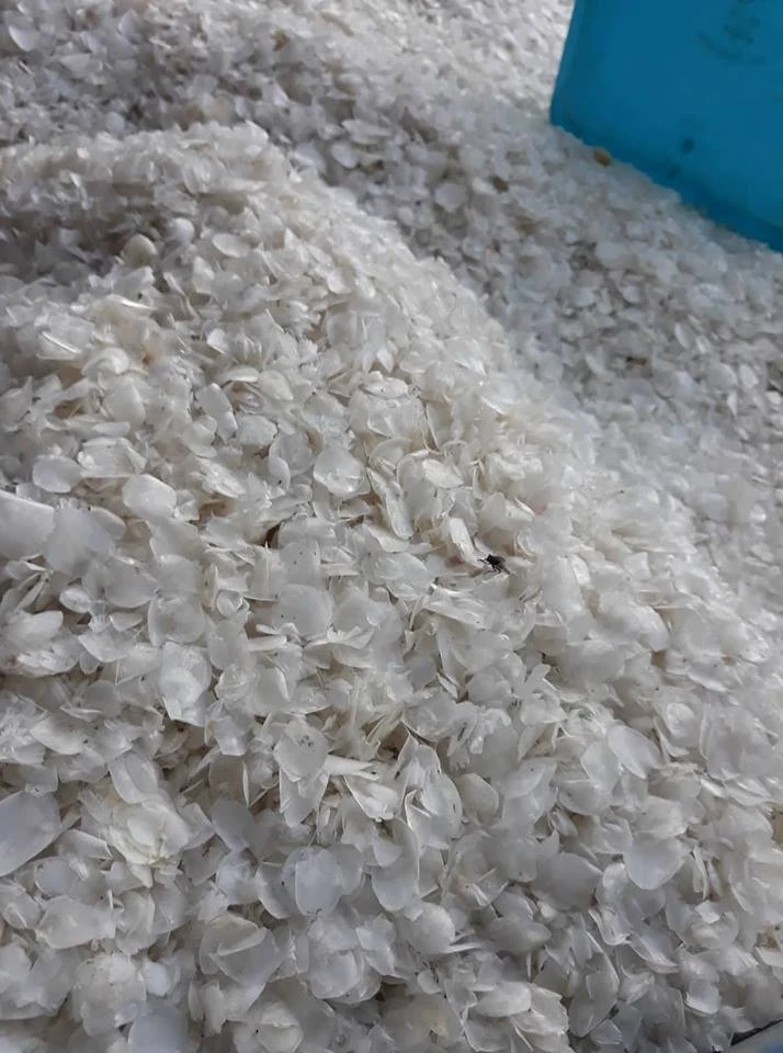 Dried Tilapia Fish Scale For Sale With Big Size Over 1cm Up For ...