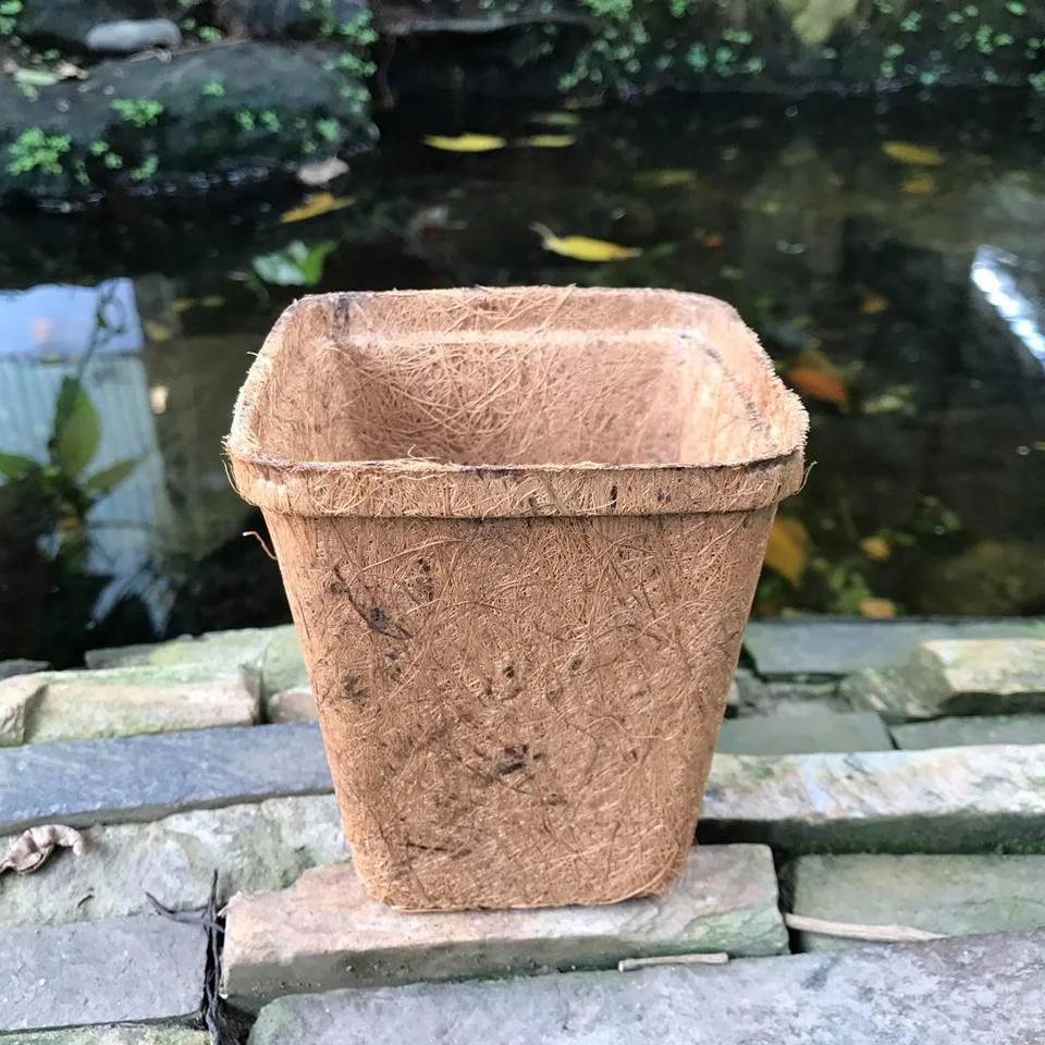 Coco Coir Plant Pots For Seed Starter Tray Nursery Pots For Seedling ...