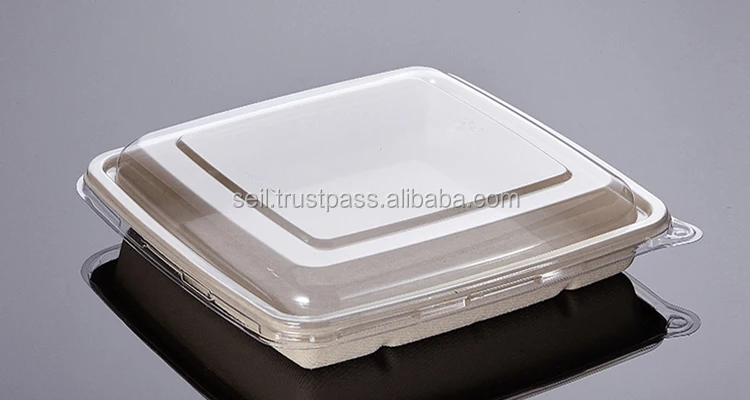 Sl-48oz-9x9,Sugarcane Bagasse Rectangular Tray With Lid / Biodegradable ...